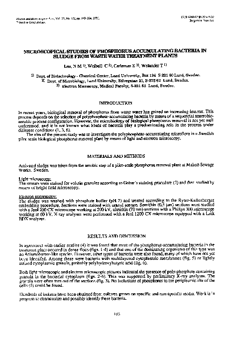 (PDF) Microscopical studies of phosphorus accumulating bacteria in ...