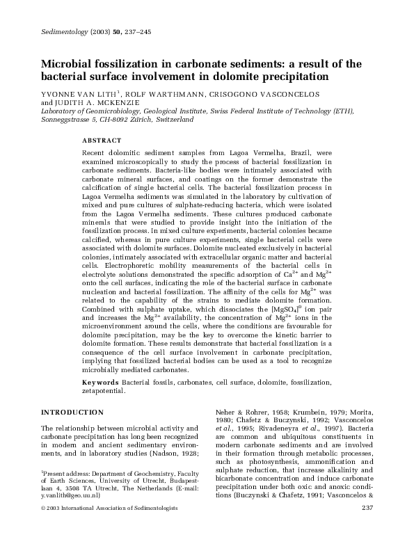 (PDF) Microbial fossilization in carbonate sediments: a result of the ...
