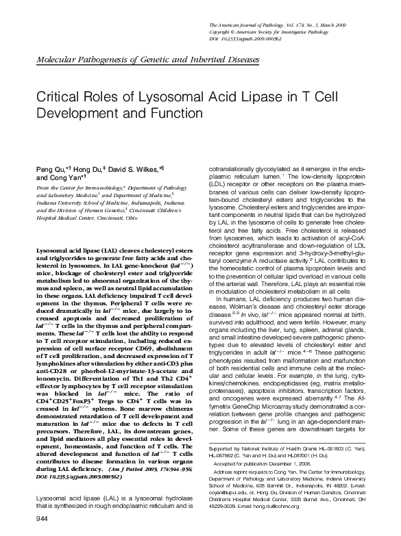(PDF) Critical Roles of Lysosomal Acid Lipase in T Cell Development and Function