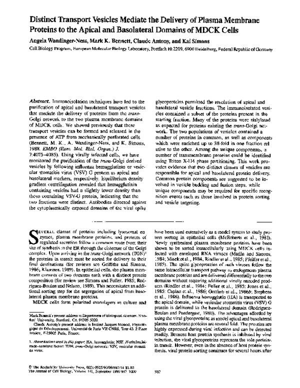 (PDF) Distinct transport vesicles mediate the delivery of plasma ...