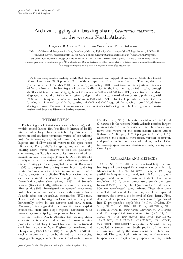 (PDF) Archival tagging of a basking shark, Cetorhinus maximus, in the ...
