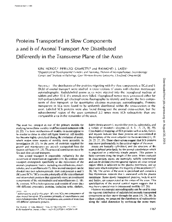 (PDF) Proteins transported in slow components a and b of axonal ...