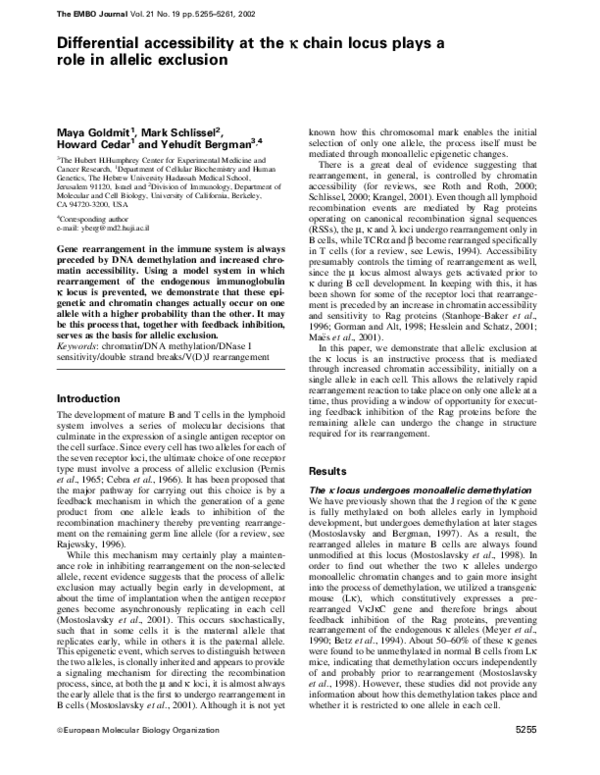 (PDF) Differential accessibility at the kappa chain locus plays a role ...