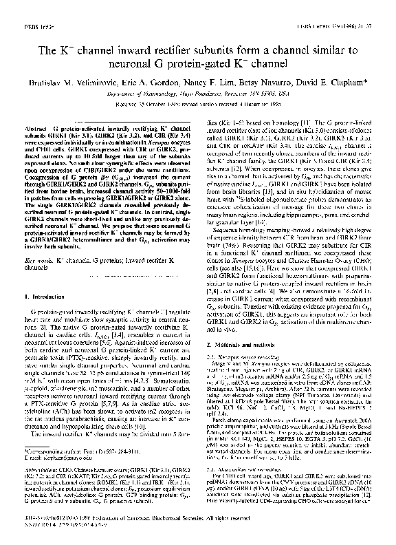 (PDF) The K+ channel inward rectifier subunits form a channel similar ...