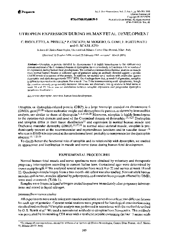 (PDF) Utrophin expression during human fetal development