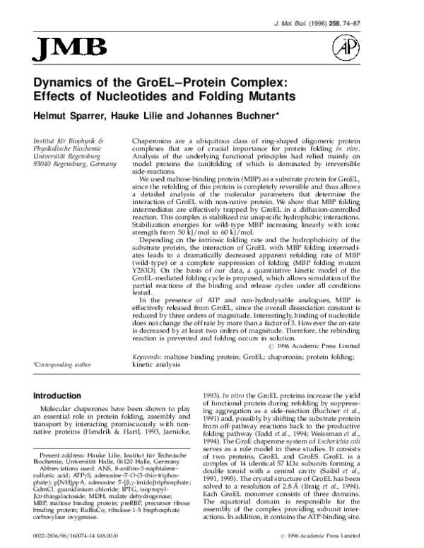 (PDF) Dynamics of the GroEL-protein complex: effects of nucleotides and ...