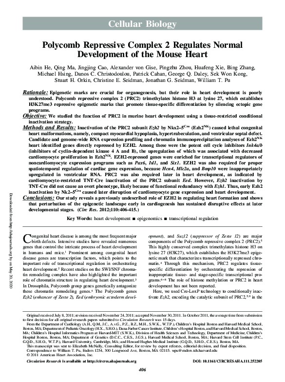 (PDF) Polycomb Repressive Complex 2 Regulates Normal Development of the ...
