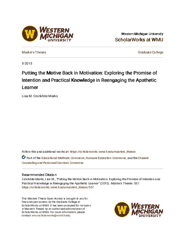 (PDF) Putting the Motive Back in Motivation: Exploring the Promise of ...