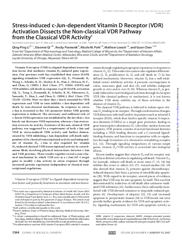 (PDF) Stress-induced c-Jun-dependent Vitamin D receptor (VDR ...