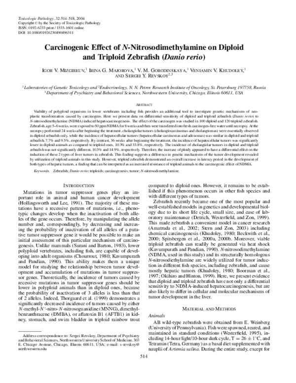 (PDF) Carcinogenic Effect of N-Nitrosodimethylamine on Diploid and ...