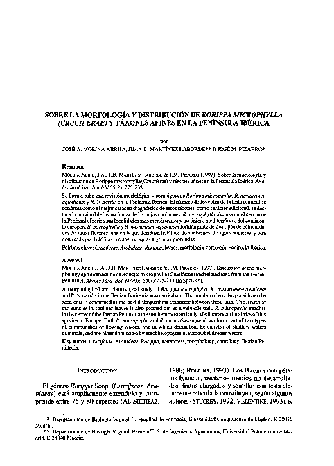 (PDF) Sobre la morfología y distribución de Rorippa microphylla ...