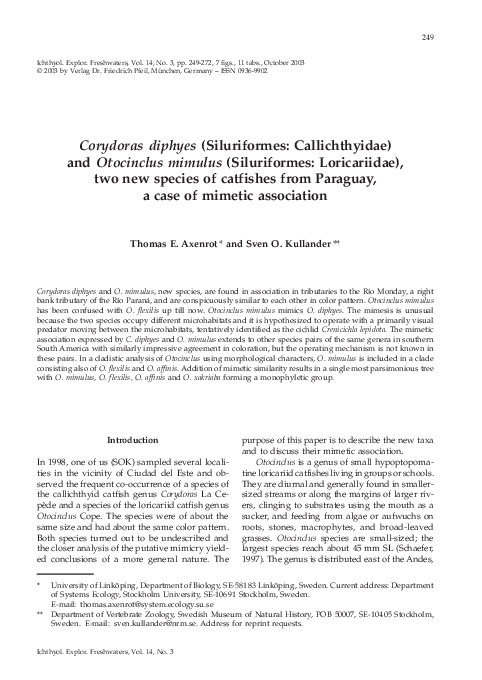 (PDF) Corydoras diphyes (Siluriformes: Callichthyidae) and Otocinclus ...