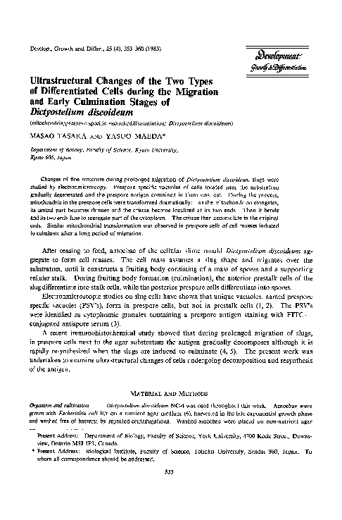 (PDF) Ultrastructural Changes of the Two Types of Differentiated Cells ...