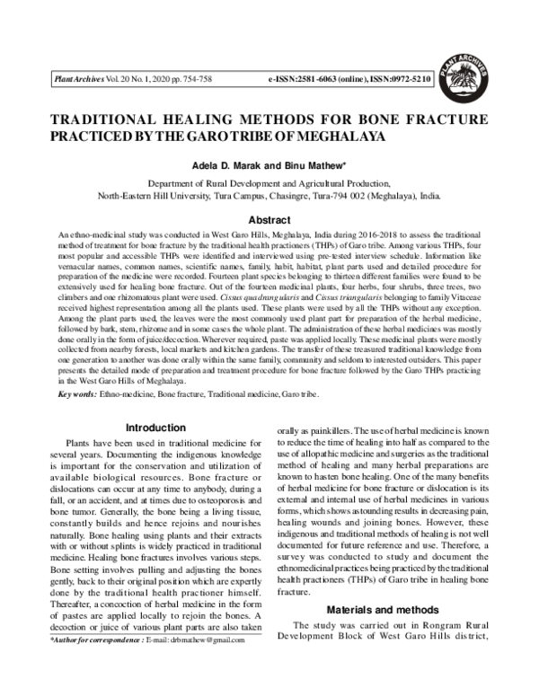 (PDF) Traditional Healing Methods for Bone Fracture Practiced by the ...