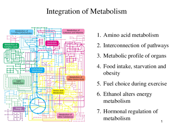 (PDF) Integration of Metabolism