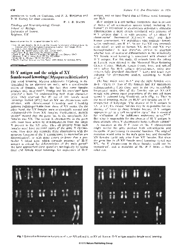 (PDF) H Y antigen and the origin of XY female wood lemmings (Myopus ...