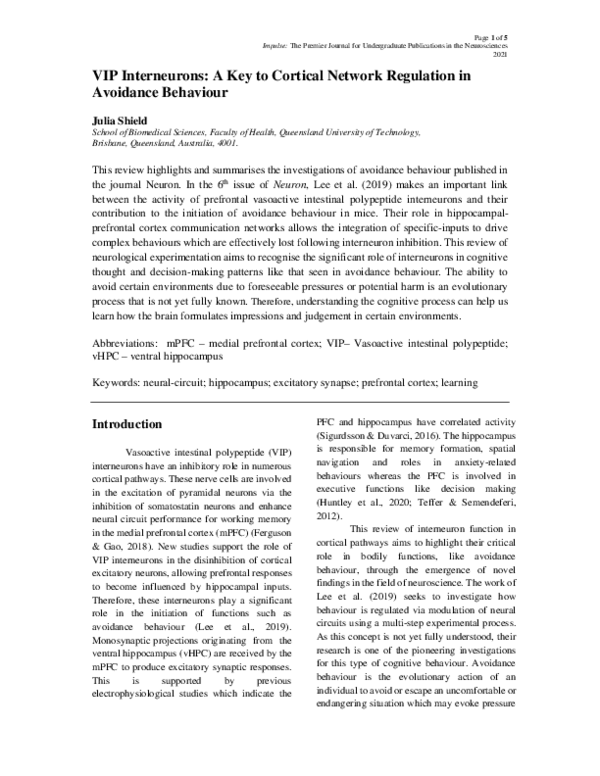 (PDF) VIP Interneurons: A Key to Cortical Network Regulation in ...