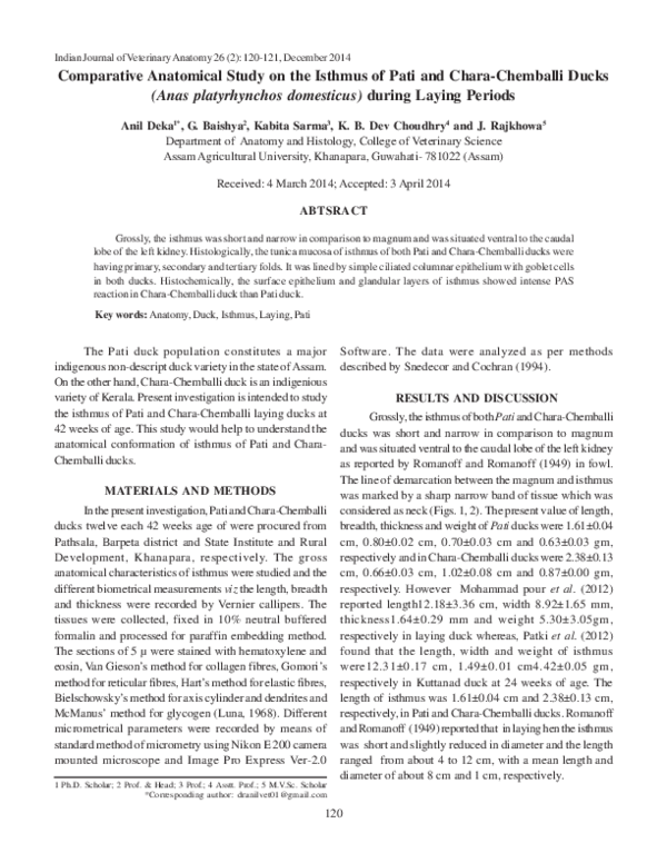 (PDF) Comparative anatomical study on the isthmus of Pati and Chara ...