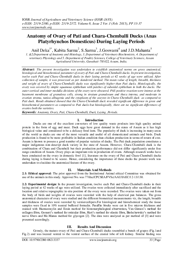(PDF) Anatomy of Ovary of Pati and Chara-Chemballi Ducks (Anas ...