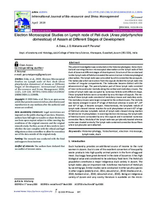 (PDF) Electron Microscopical Studies on Lymph node of Pati duck (Anas ...