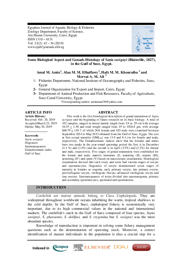 (PDF) Some Biological Aspect and Gonads Histology of Sepia savignyi ...