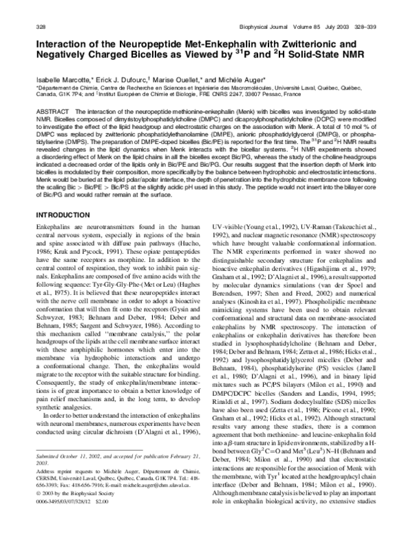 (PDF) Interaction of the Neuropeptide Met-Enkephalin with Zwitterionic and Negatively Charged ...
