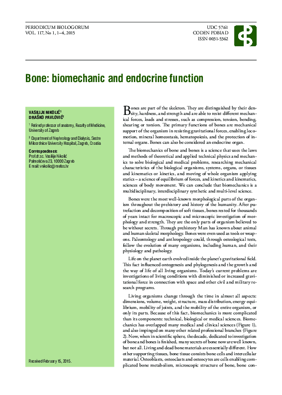 (PDF) Bone: biomechanic and endocrine function