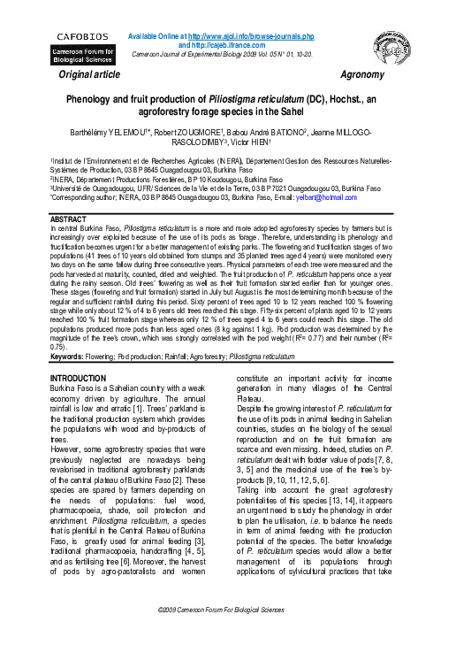 (PDF) Phenology and fruit production of Piliostigma reticulatum (DC ...