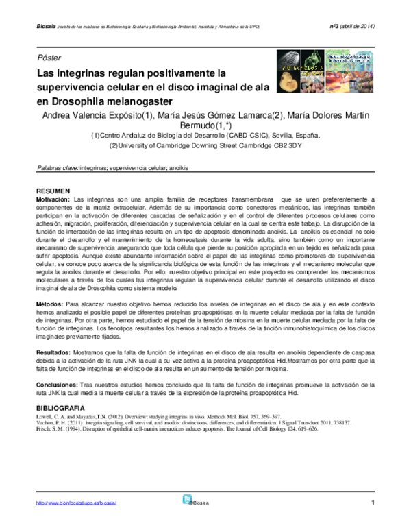 (PDF) Las integrinas regulan positivamente la supervivencia celular en ...