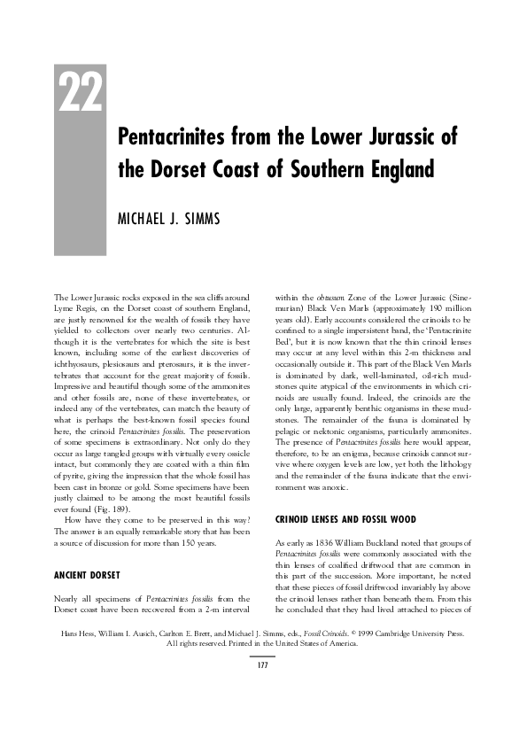 (PDF) Pentacrinites from the Lower Jurassic of the Dorset Coast of ...