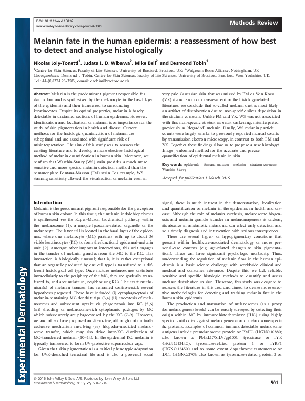 (PDF) Melanin fate in the human epidermis: a re-assessment of how best ...