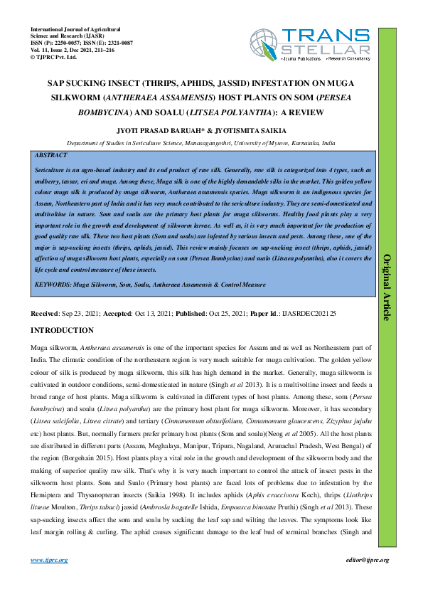 (PDF) SAP SUCKING INSECT (THRIPS, APHIDS, JASSID) INFESTATION ON MUGA ...