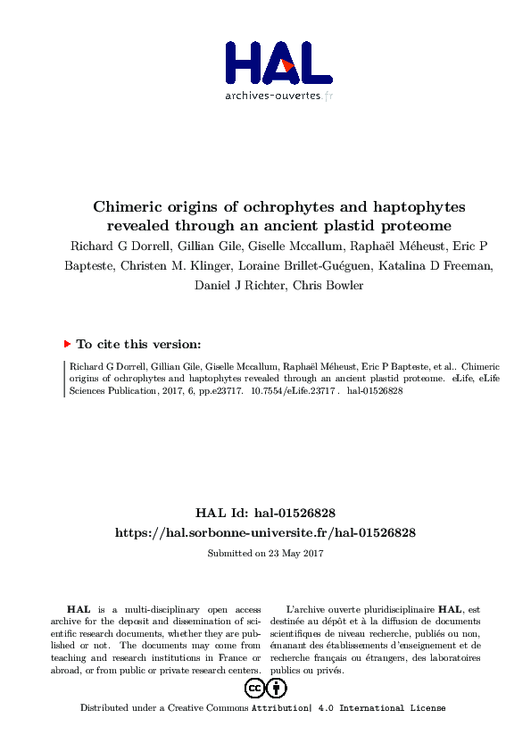 (PDF) Chimeric origins of ochrophytes and haptophytes revealed through ...