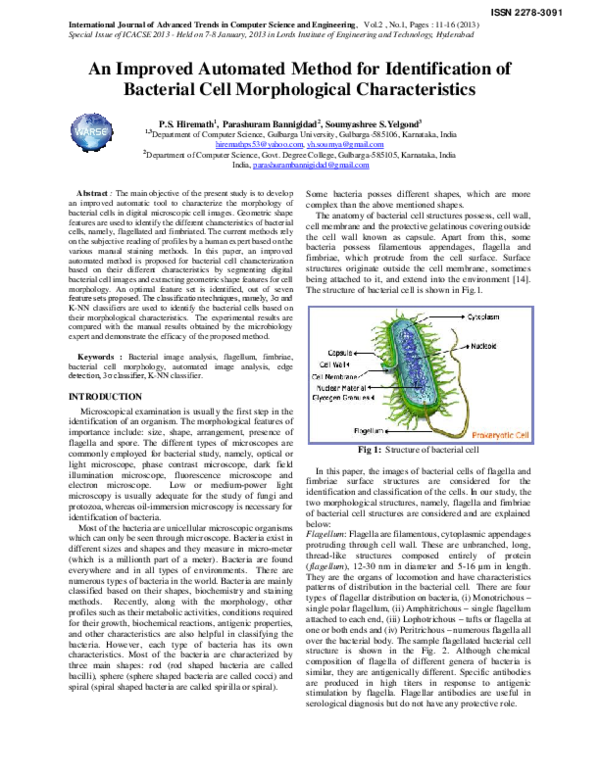 (PDF) An Improved Automated Method for Identification of Bacterial Cell ...