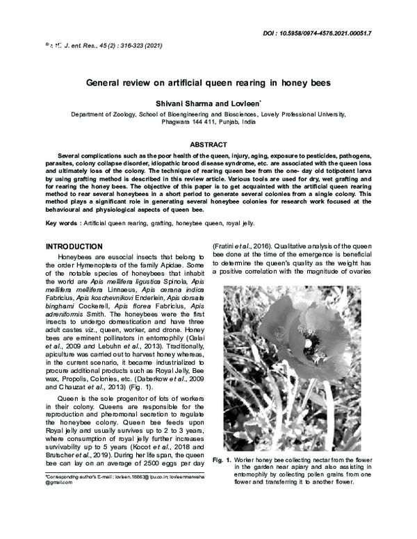 (PDF) General review on artificial queen rearing in honey bees