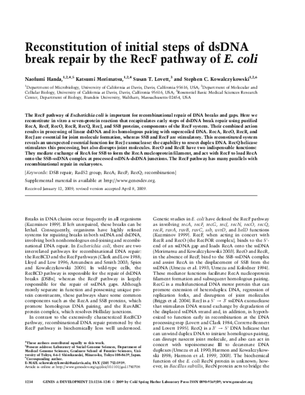 (PDF) Reconstitution of initial steps of dsDNA break repair by the RecF ...