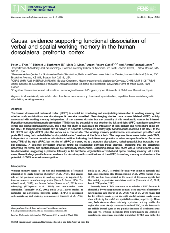 (PDF) Causal evidence supporting functional dissociation of verbal and spatial working memory in ...