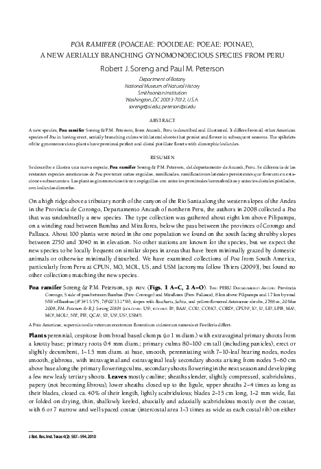 (PDF) Poa ramifer (Poaceae: Pooideae: Poeae: Poinae), a new aerially ...