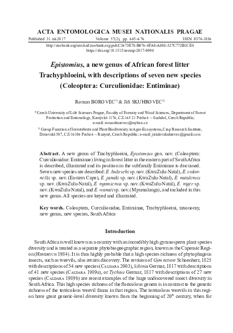 (PDF) Epistomius, a new genus of African forest litter Trachyphloeini ...