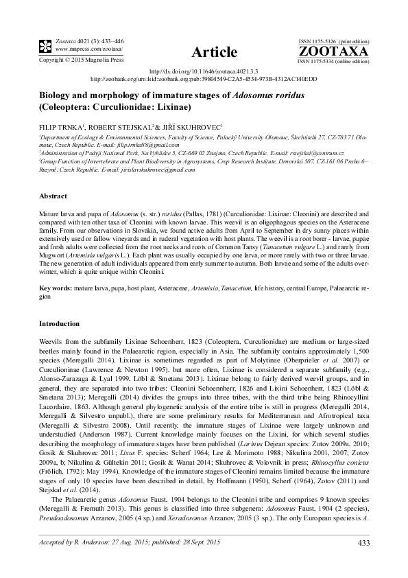 (PDF) Biology and morphology of immature stages of Adosomus roridus ...