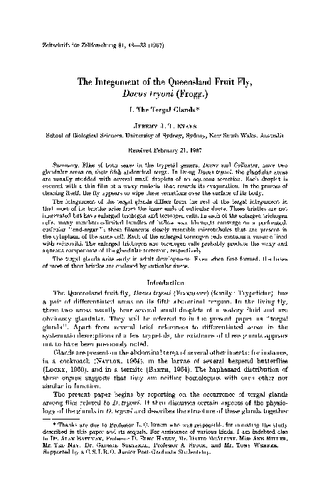 The integument of the Queensland fruit fly, Dacus tryoni (Frogg.)