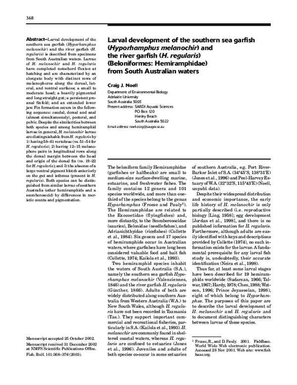 (PDF) Larval development of the southern sea garfish (Hyporhamphus ...