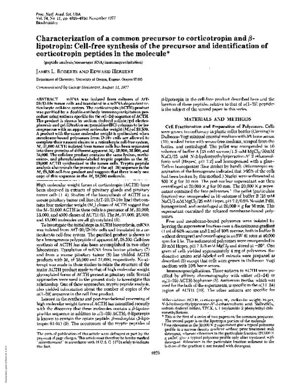 (PDF) Characterization of a common precursor to corticotropin and beta ...