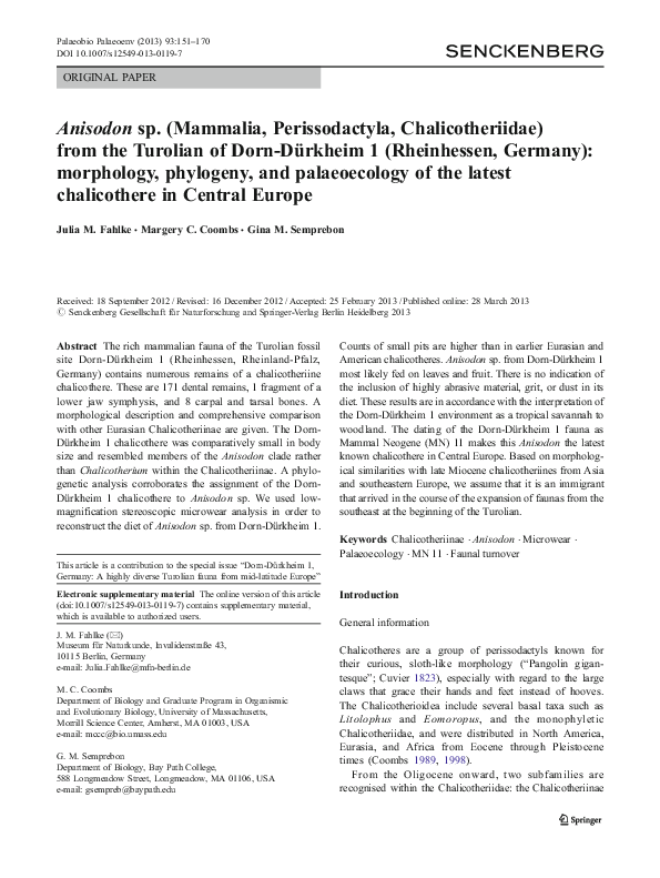 (PDF) Anisodon sp. (Mammalia, Perissodactyla, Chalicotheriidae) from ...