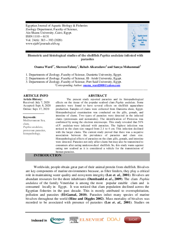(PDF) Biometric and histological studies of the shellfish Paphia ...