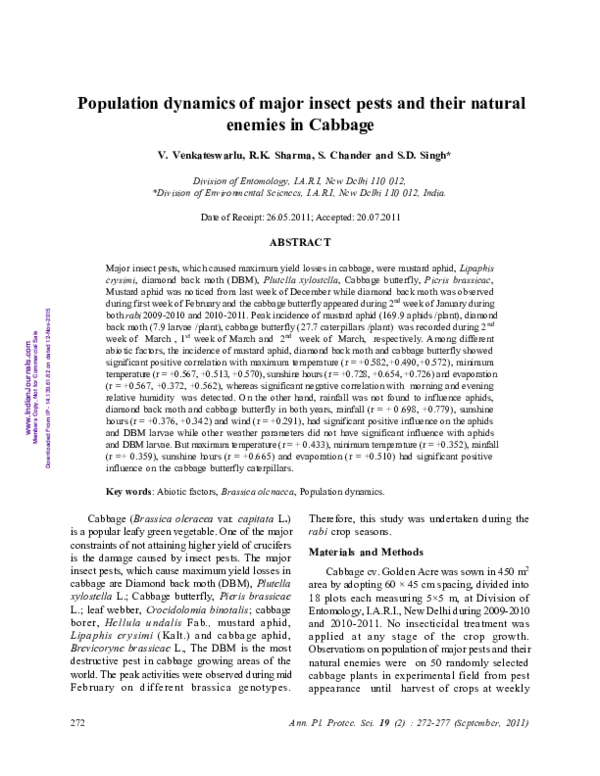Pdf Population Dynamics Of Major Insect Pests And Their Natural Enemies In Cabbage