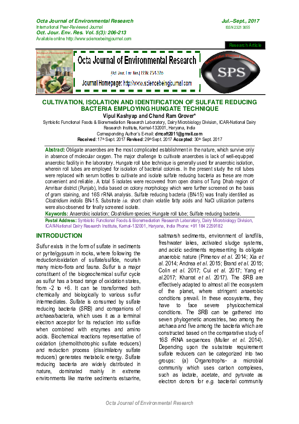 (PDF) Cultivation, Isolation and Identification of Sulfate Reducing ...