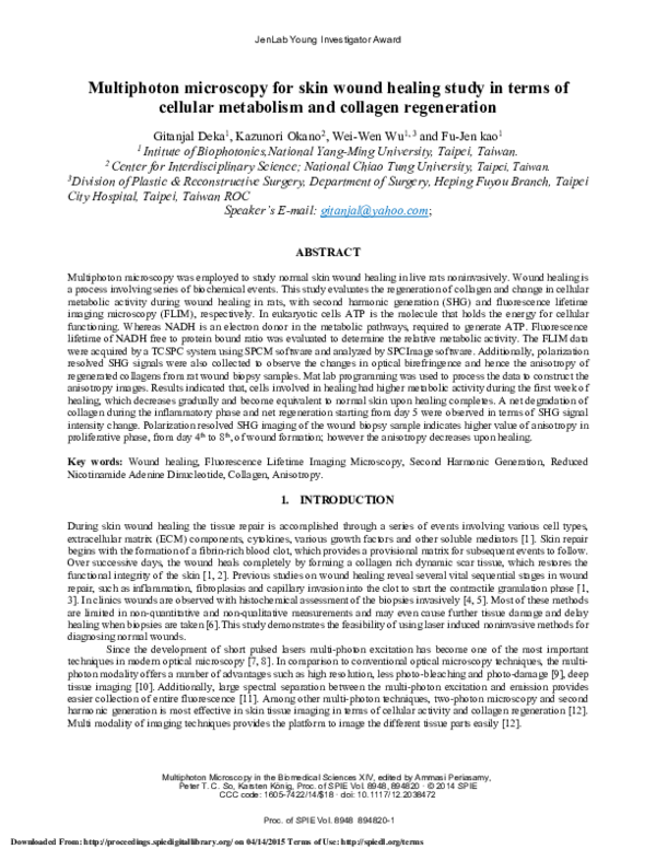 (PDF) Multiphoton microscopy for skin wound healing study in terms of cellular metabolism and ...