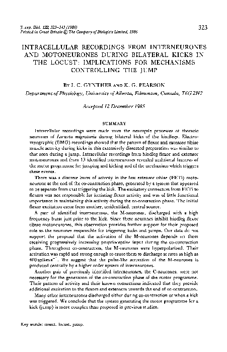 (PDF) Neuronal Activity in Locust Kicks: Mechanisms for Jump Control