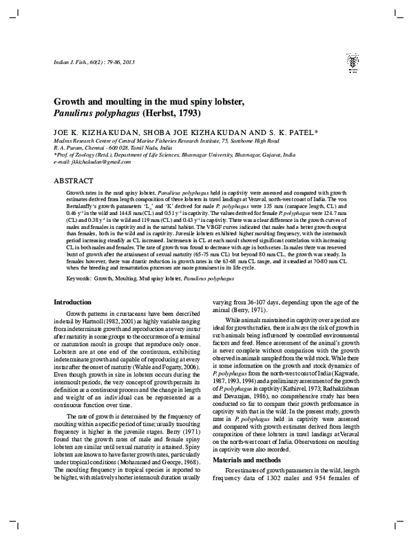 (PDF) Growth and moulting in the mud spiny lobster,Panulirus polyphagus ...